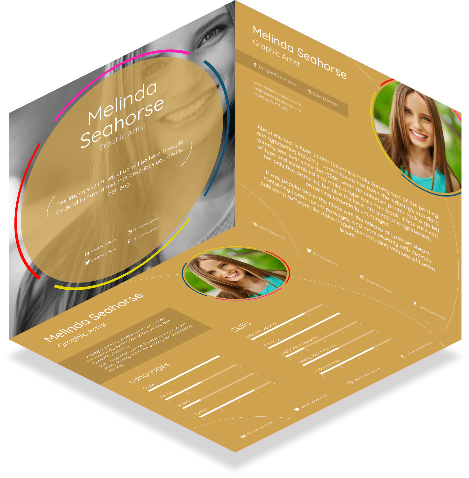 PaintCV - Creat Your Impressive CV