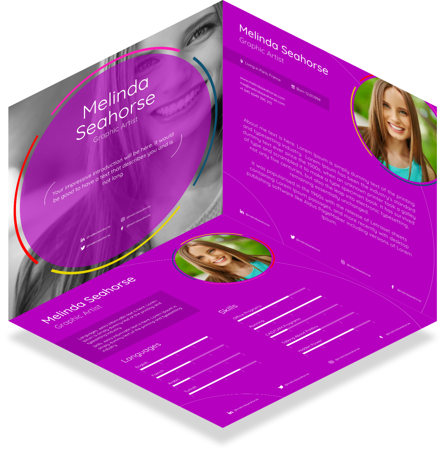 PaintCV - Creat Your Impressive CV