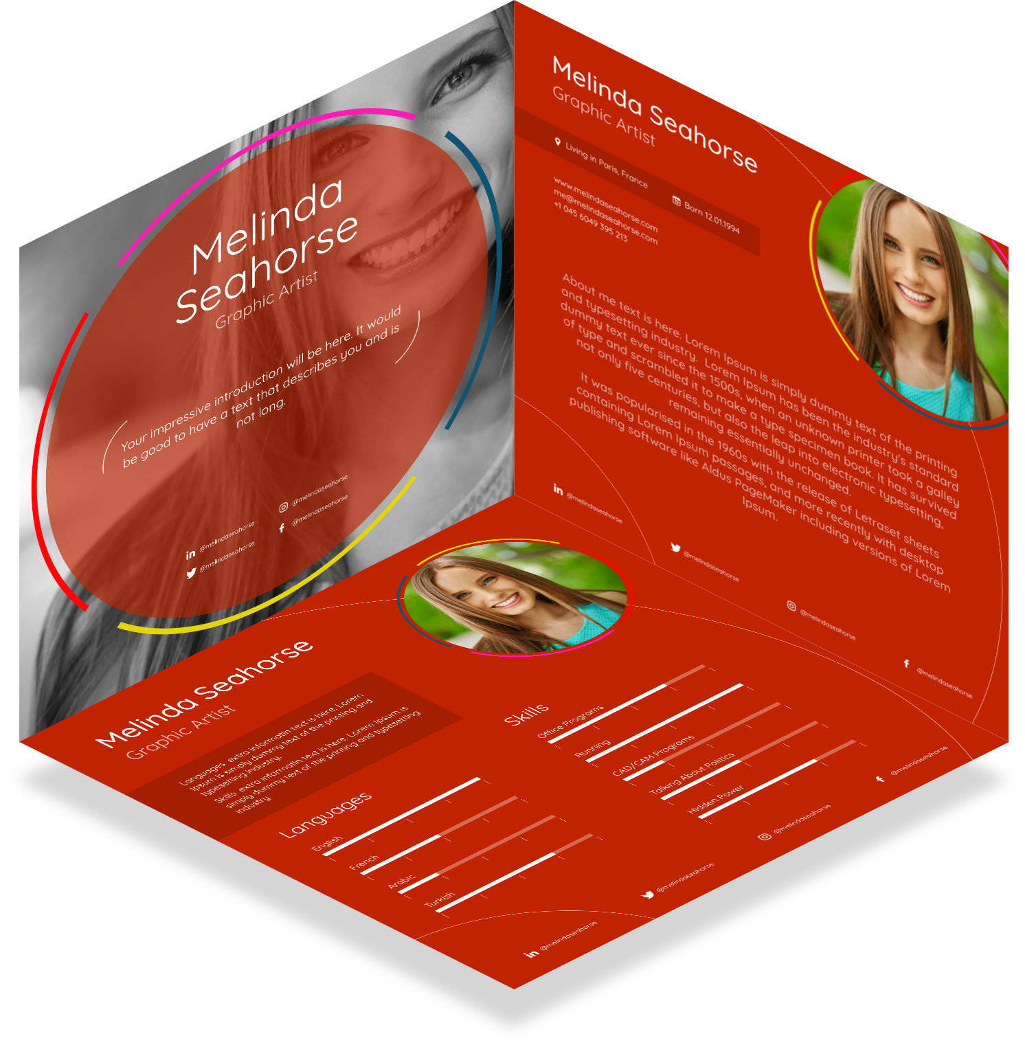 PaintCV - Creat Your Impressive CV